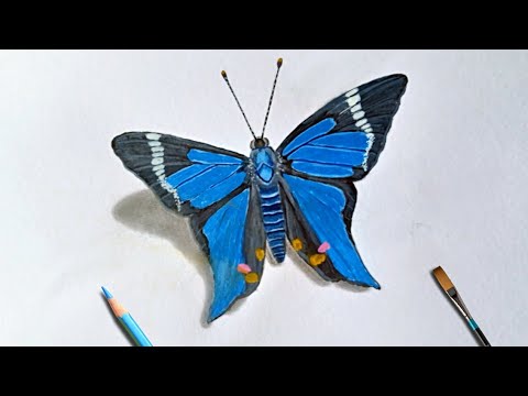 How to draw Butterfly with water colour || Butterfly drawing with water ...