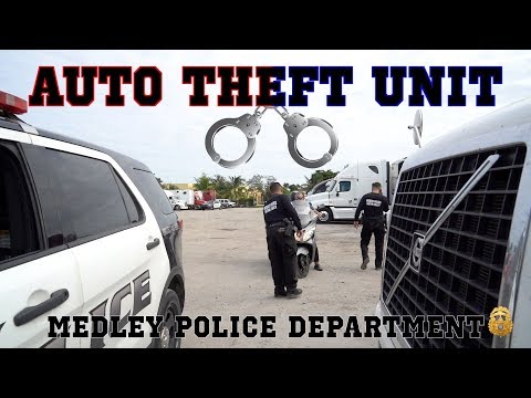 Auto Theft Unit