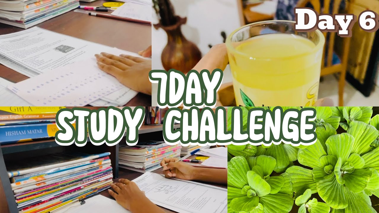 7 day study challenge 🧸🌻 challenge එක ඉවර වෙන්න ලගයි 📚🎓 #adayinmylifesinhala #studyvlogs - YouTube