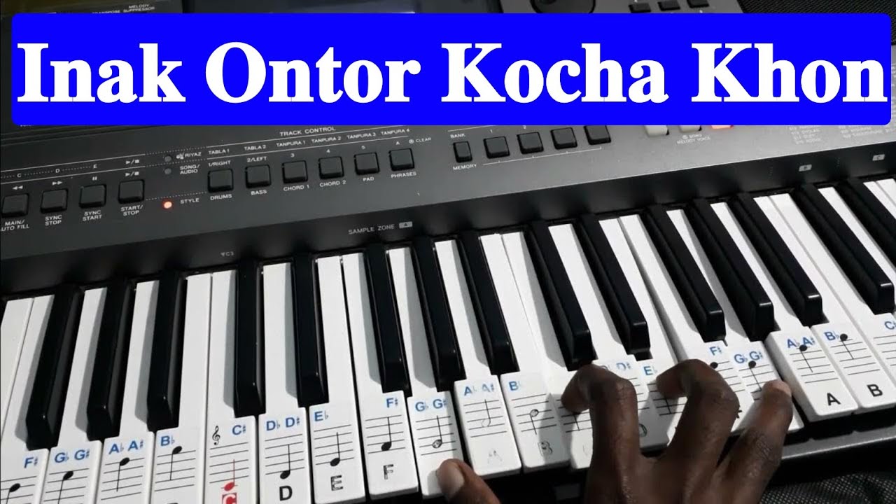 Inak Ontor Kocha Khon Pinao Cover | Inak Ontor Kocha Khon Dular Renak ...