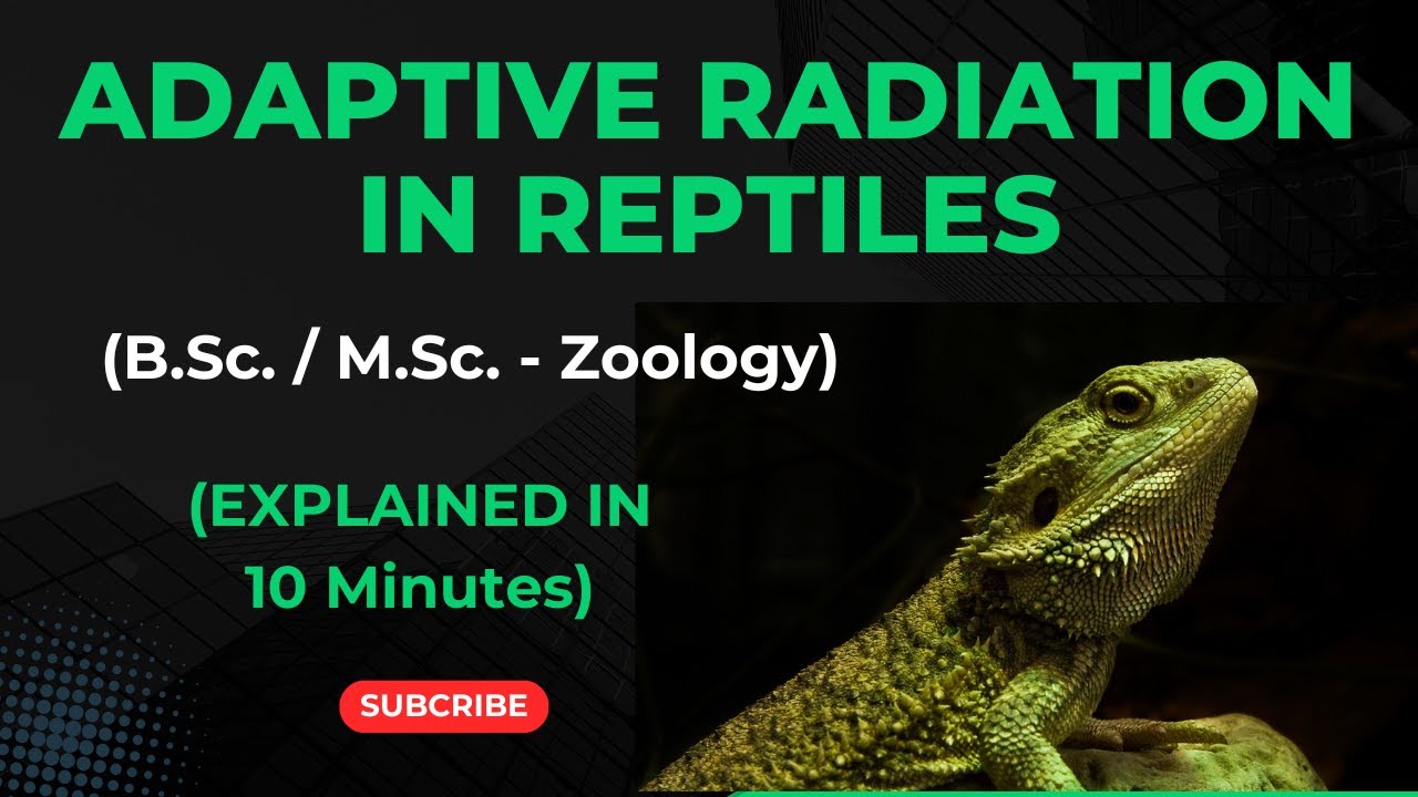 Adaptive Radiation In Reptiles