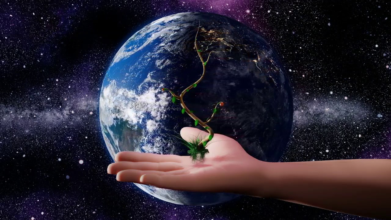 Environmental - YouTube