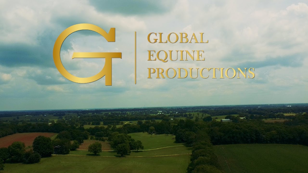 What is Global Equine Productions? | Produced by Global Equine ...