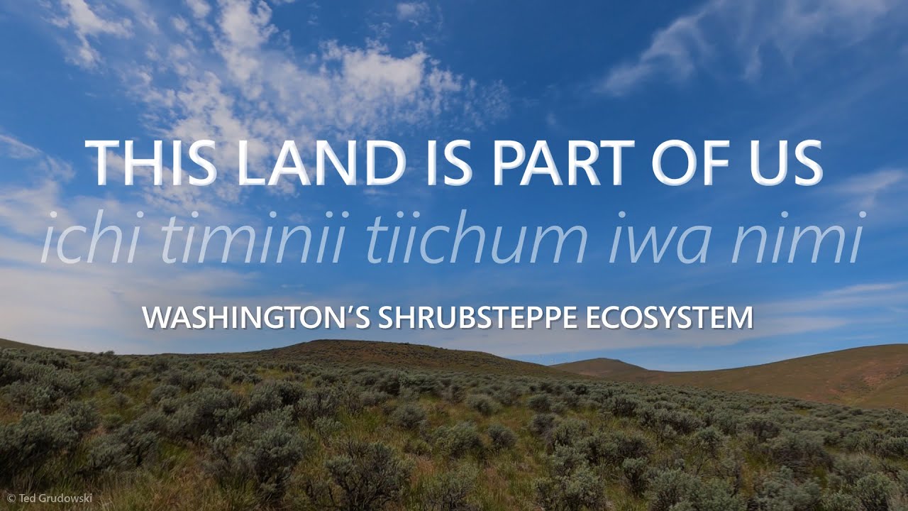 This Land Is Part of Us: Washington’s shrub-steppe ecosystem - YouTube