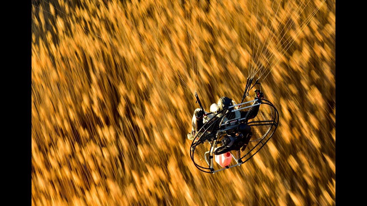 Paramotor Family Powered Paragliding Flat Top Ninja XXS Dominator Nil ...