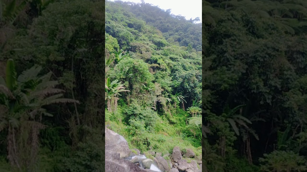 Edralyn falls - YouTube