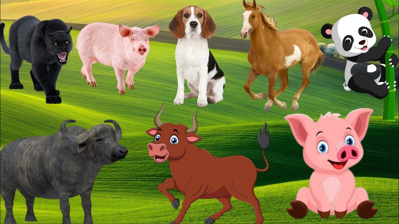 Cute Little Animals: Rabbit, Bear, Cat, Dog, Chicken, Lion, Penguin ...