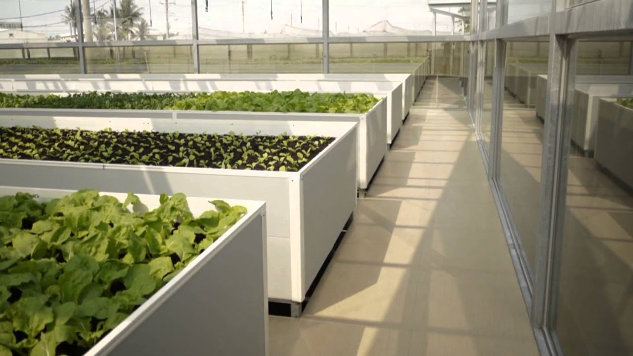 Rich Farm's Plant Factory Solution - YouTube