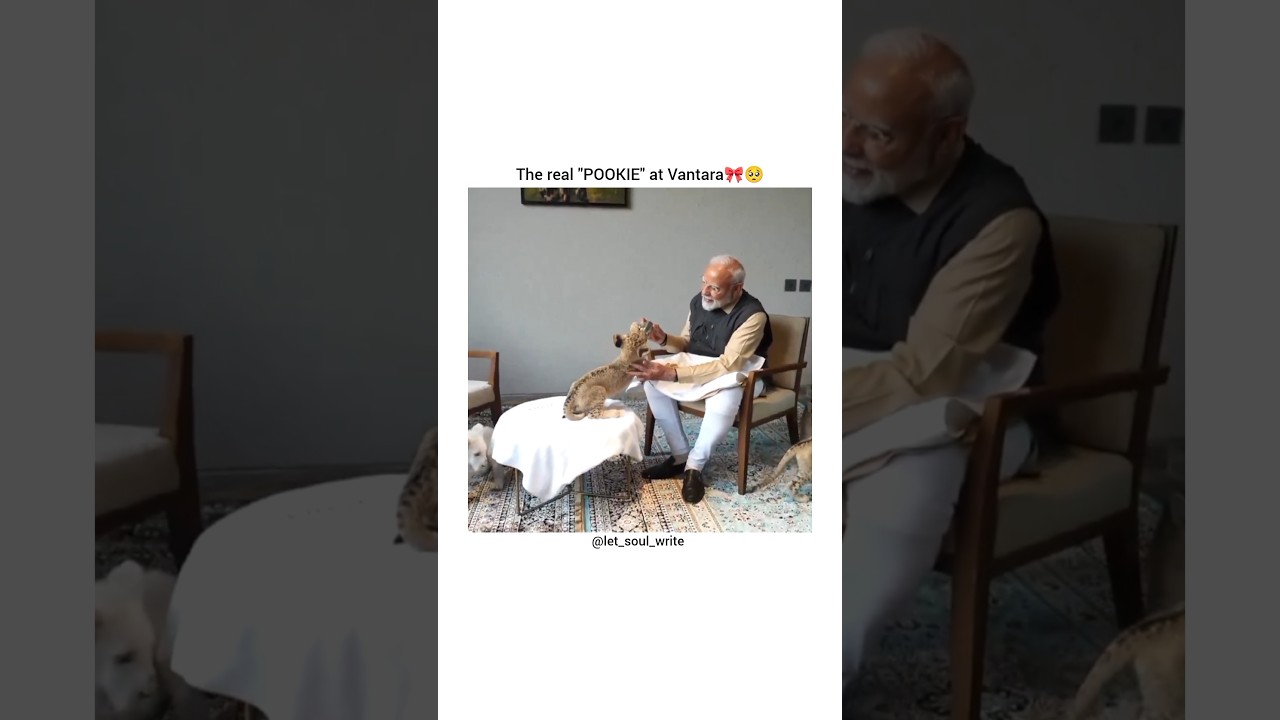 Our POOKIE Pm at Vantara | Narendra Modi | Vantara | Wildlife - YouTube