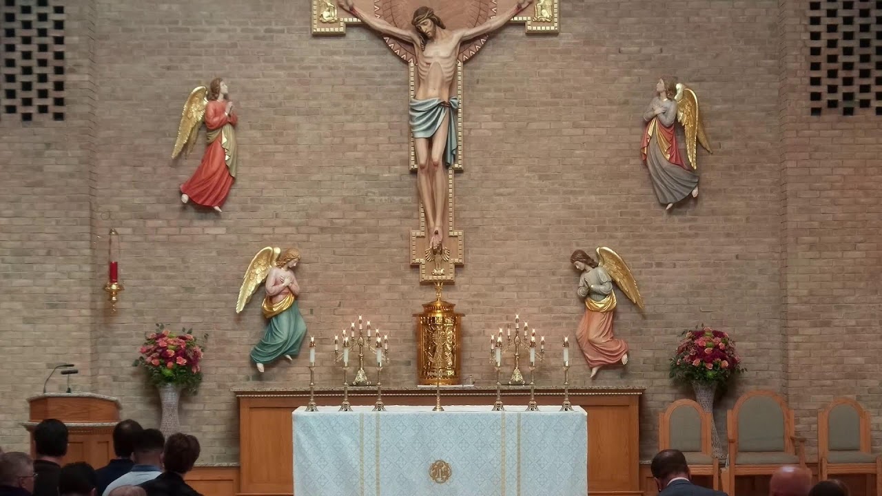 9:30am Mass - All Souls Day from Holy Cross Catholic Church (November 2 ...