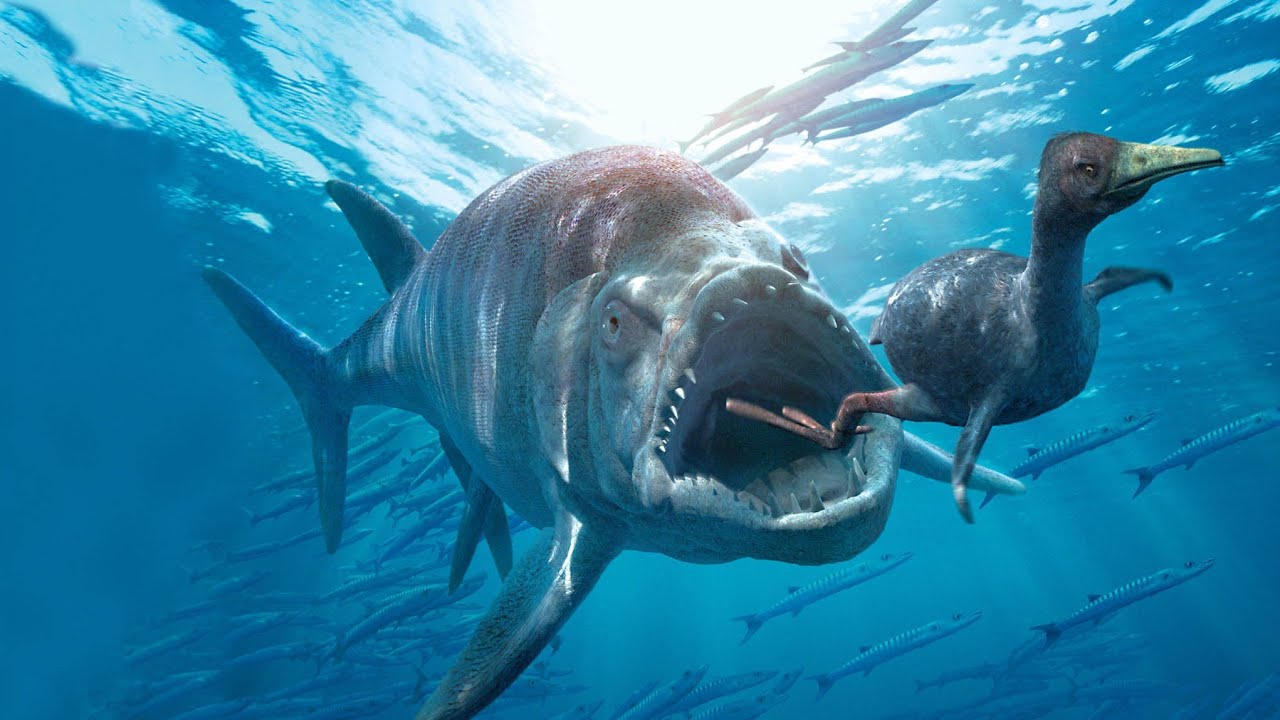 Monster der Tiefe - Im Reich der Urzeit - YouTube