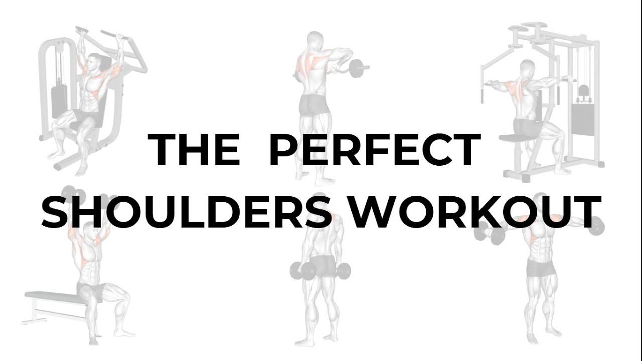 The PERFECT Shoulders Workout for Beginners - YouTube