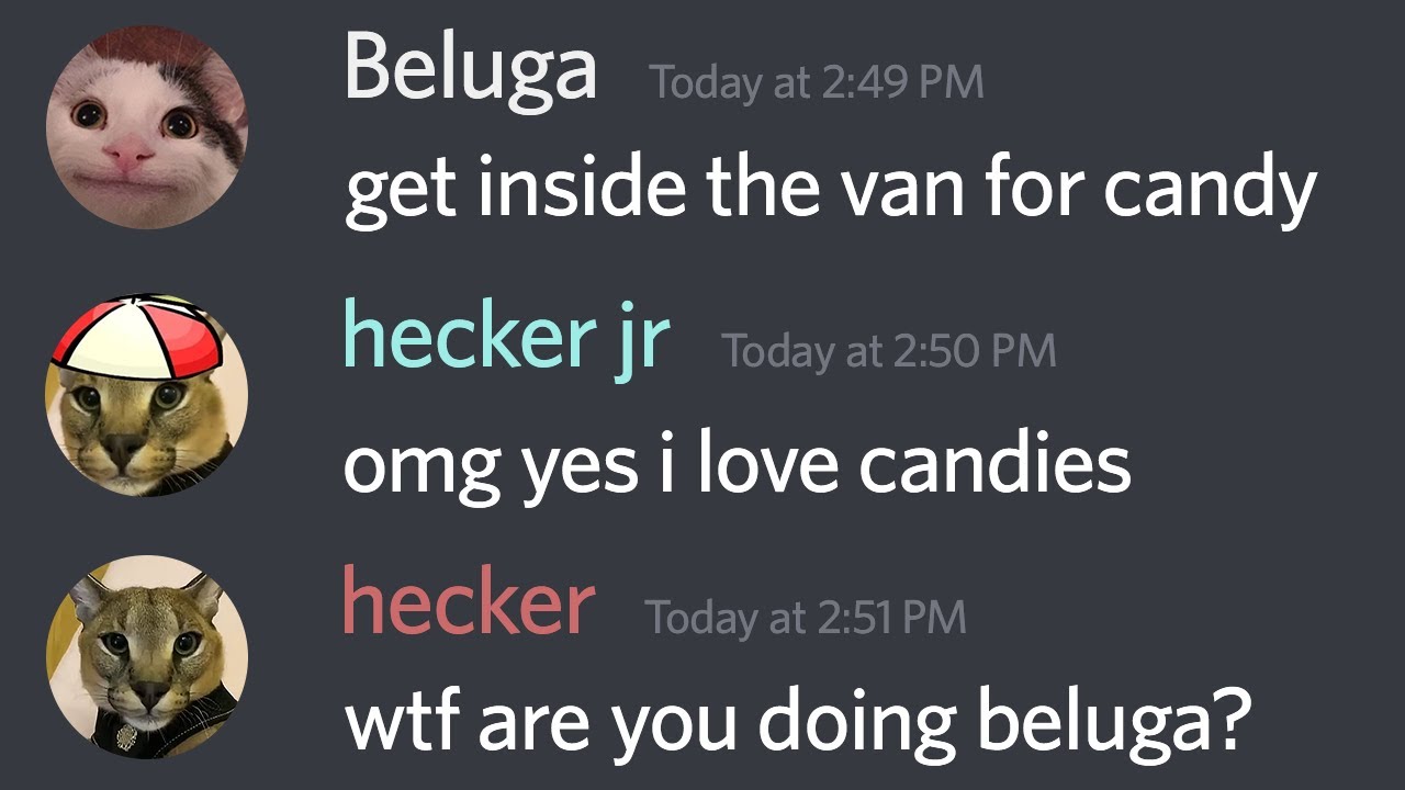 Beluga kidneps hecker jr (sad) - YouTube