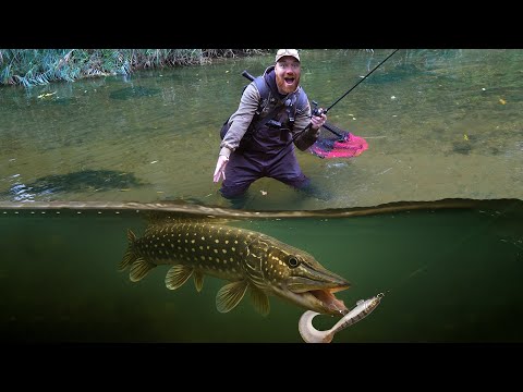 The Pike Were Striking Under My Feet! Epic Up-close Pike Action! 4k!