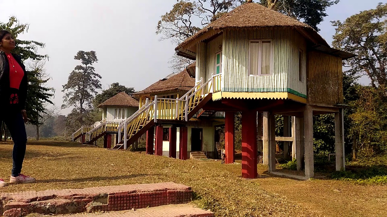 Gorumara National Park | Part-1 | Kalipur Eco Village | Best place to ...