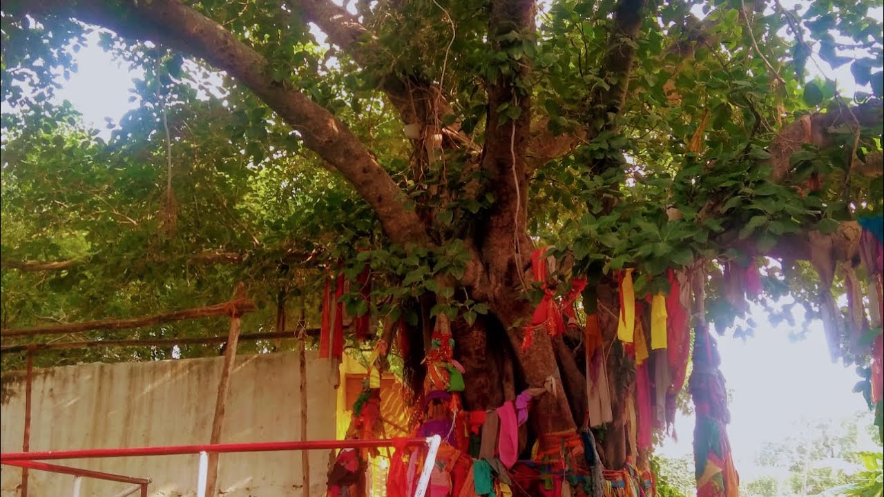 Banshivat Temple (Maharaas Sthali) #Vrindavan #radhakrishna # ...