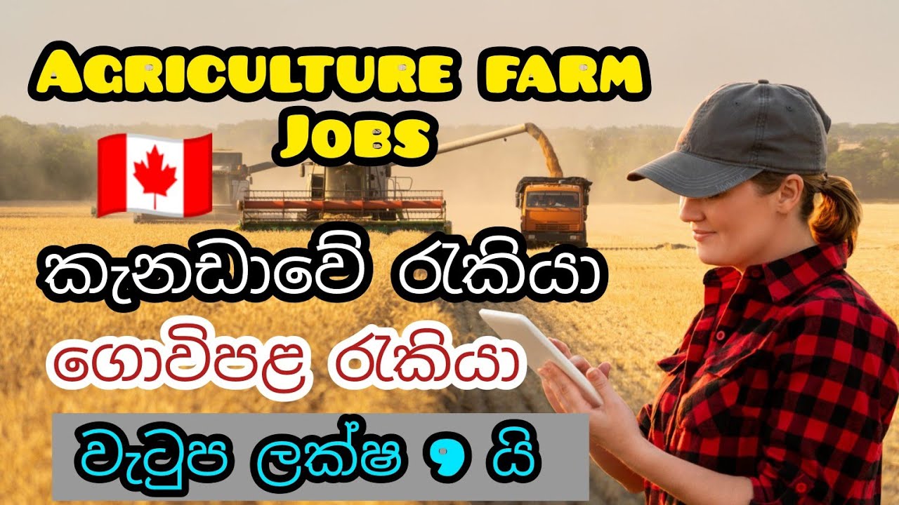 කැනඩාවේ ගොවිපළ රැකියා.වැටුප ලක්ෂ 9 යි.සුදුසුකම් එපා agriculture farm ...