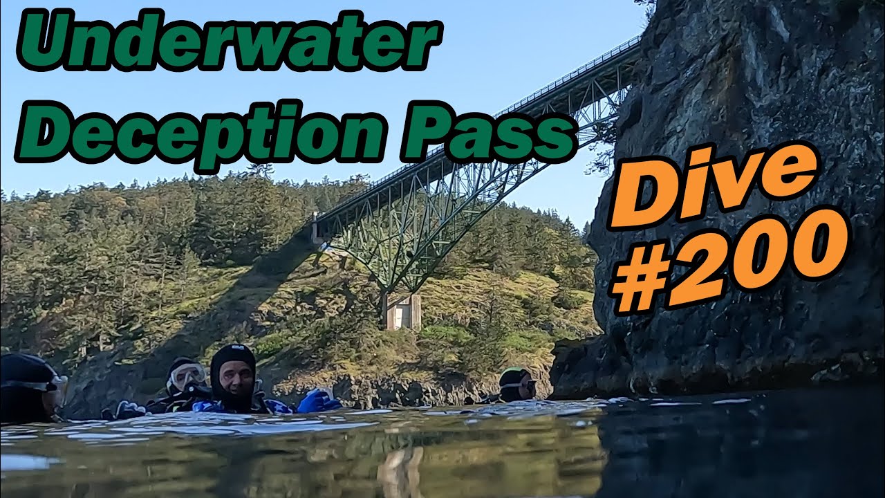 Scuba Diving Under Deception Pass Bridge, Dive #200 For @AddAdventures ...