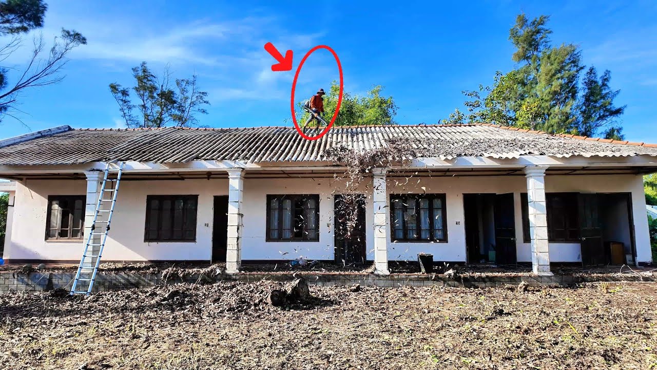 20 Year Old House_Roof Almost Collapsed Because of Leaves_You Must See ...