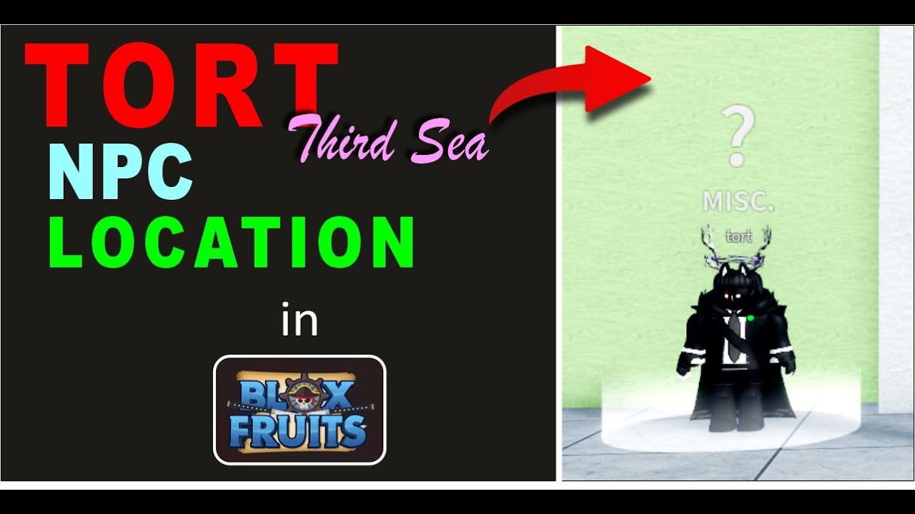 Tort NPC Location in Third Sea of BLOX FRUITS | How to change your race ...
