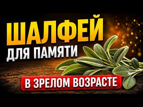 МОЗГ ЗАРАБОТАЕТ ЧЕРЕЗ 1 ЧАС: ШАЛФЕЙ ПРОТИВ ПРИЛИВОВ И САХАРА