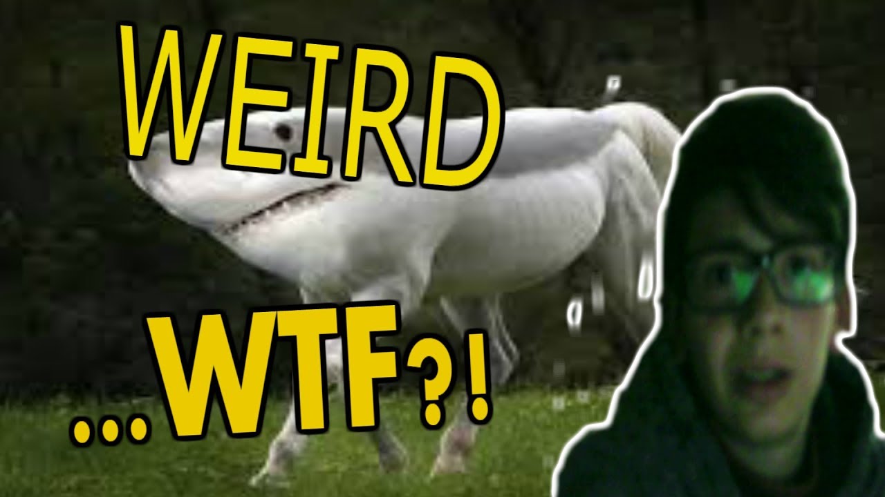 TRY NOT TO GET WEIRDED OUT YouTube try-not-to-get-weirded-out-youtube