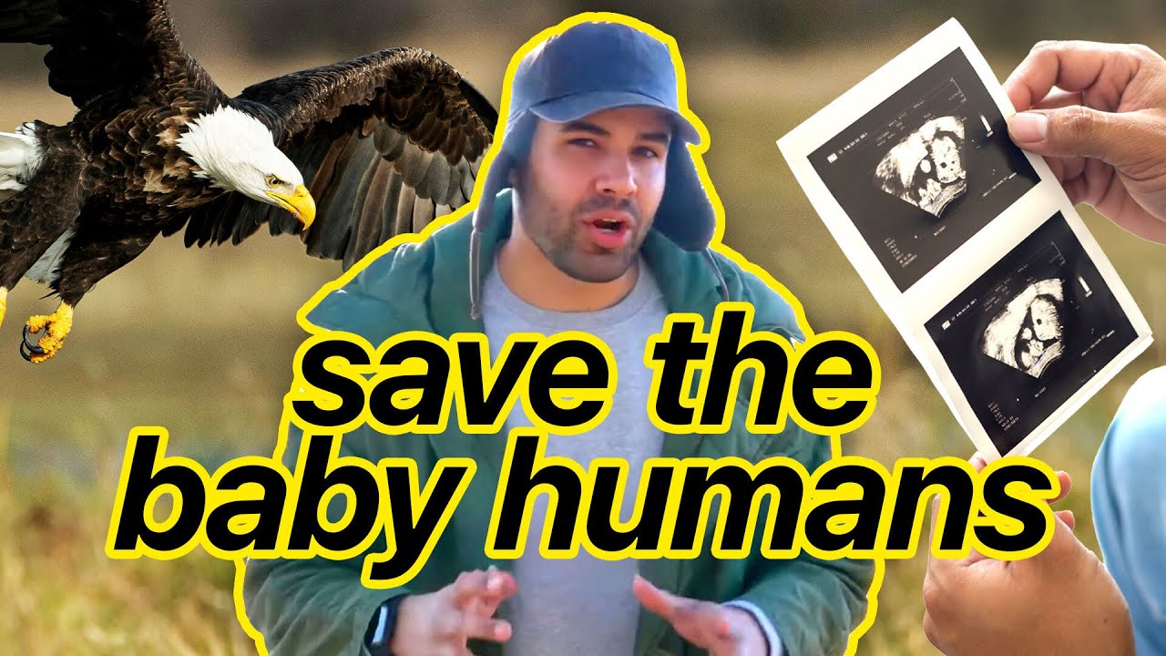 Are Baby Eagles More Protected Than Baby Humans? - YouTube