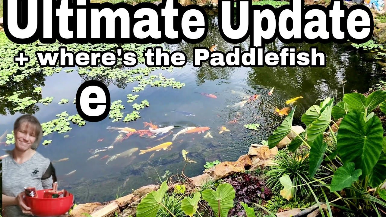 The Real story on where the paddlefish are - YouTube