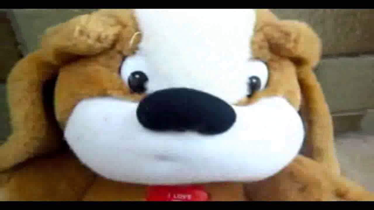 Mc Dog - (Official Music Video) - YouTube