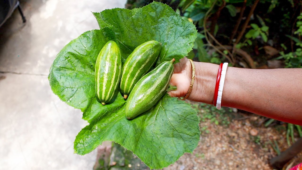 Parwal Recipe Bengali - Potol Vapa Recipe - Steamed pointed Gourd ...