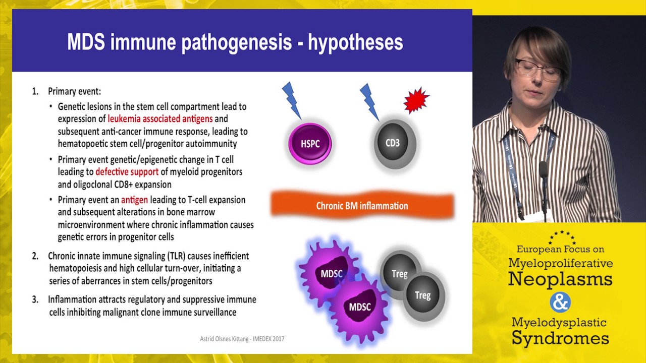 Role of immune system in MDS pathogenesis - YouTube