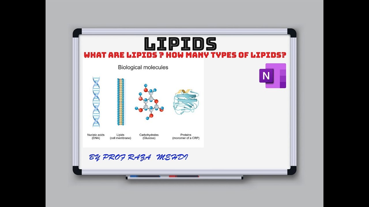 Q.WHAT ARE LIPIDS AND HOW MANY TYPES OF LIPIDS? GIVE THEIR EXAMPLES AND ...