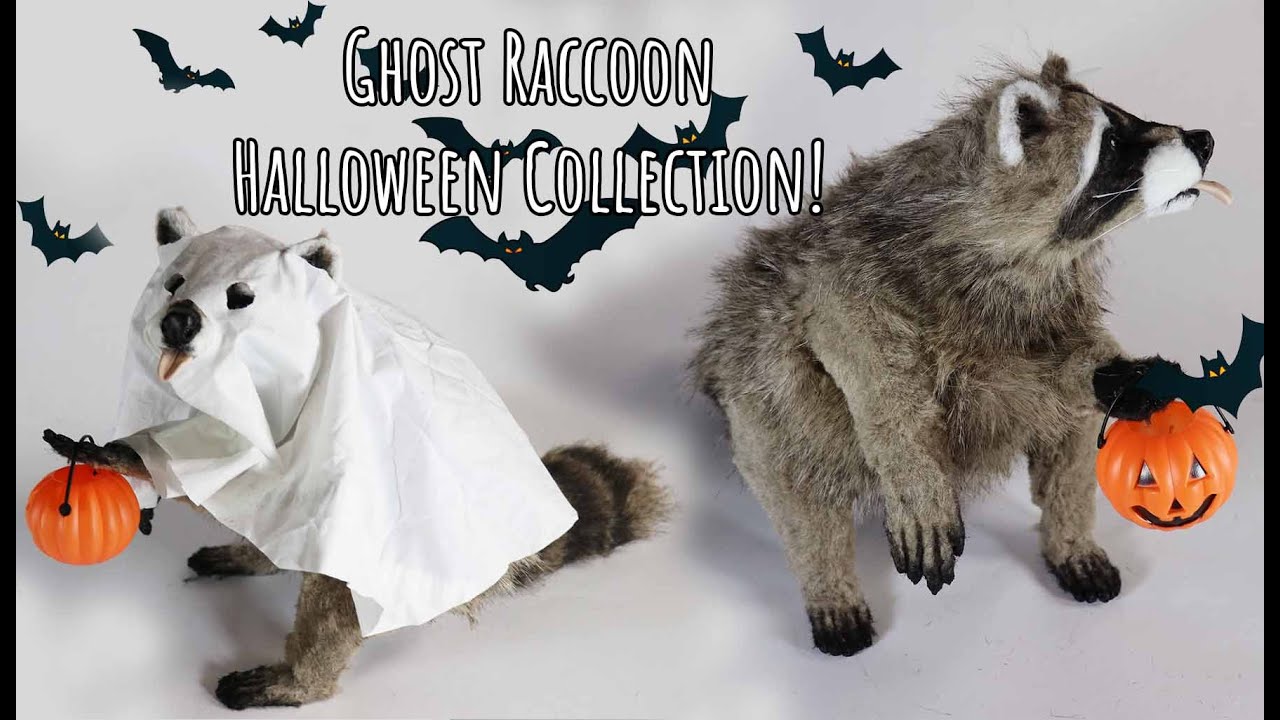 I made a cheeky ghost raccoon artdoll! - YouTube