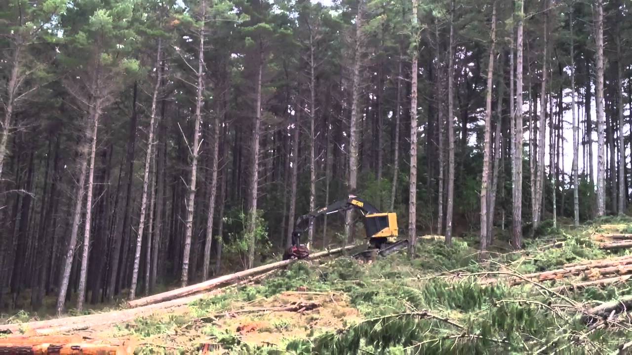 Tigercat LH 830 - YouTube