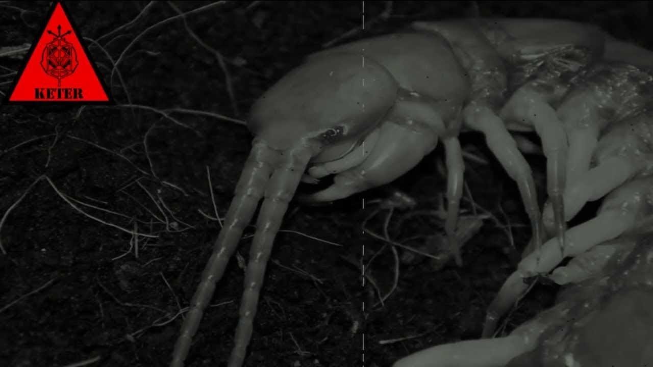 scp-378- brainworm - YouTube