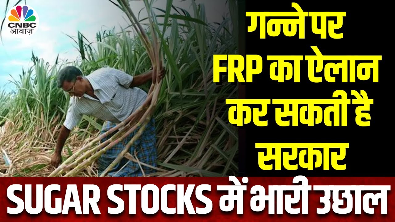 FRP for Sugarcane | गन्ने की FRP बढ़ा सकती है सरकार, खबर से Sugar ...