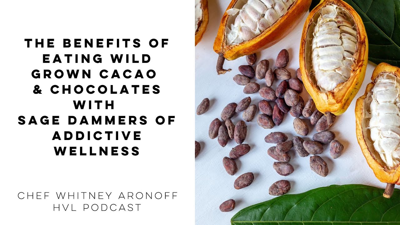 The Benefits of Eating Wild Grown Cacao & Chocolates with Sage Dammers ...