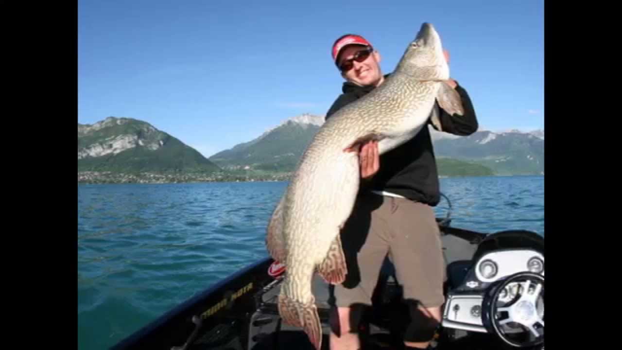 Sylvain Legendre World Record Pike 137 cm - YouTube