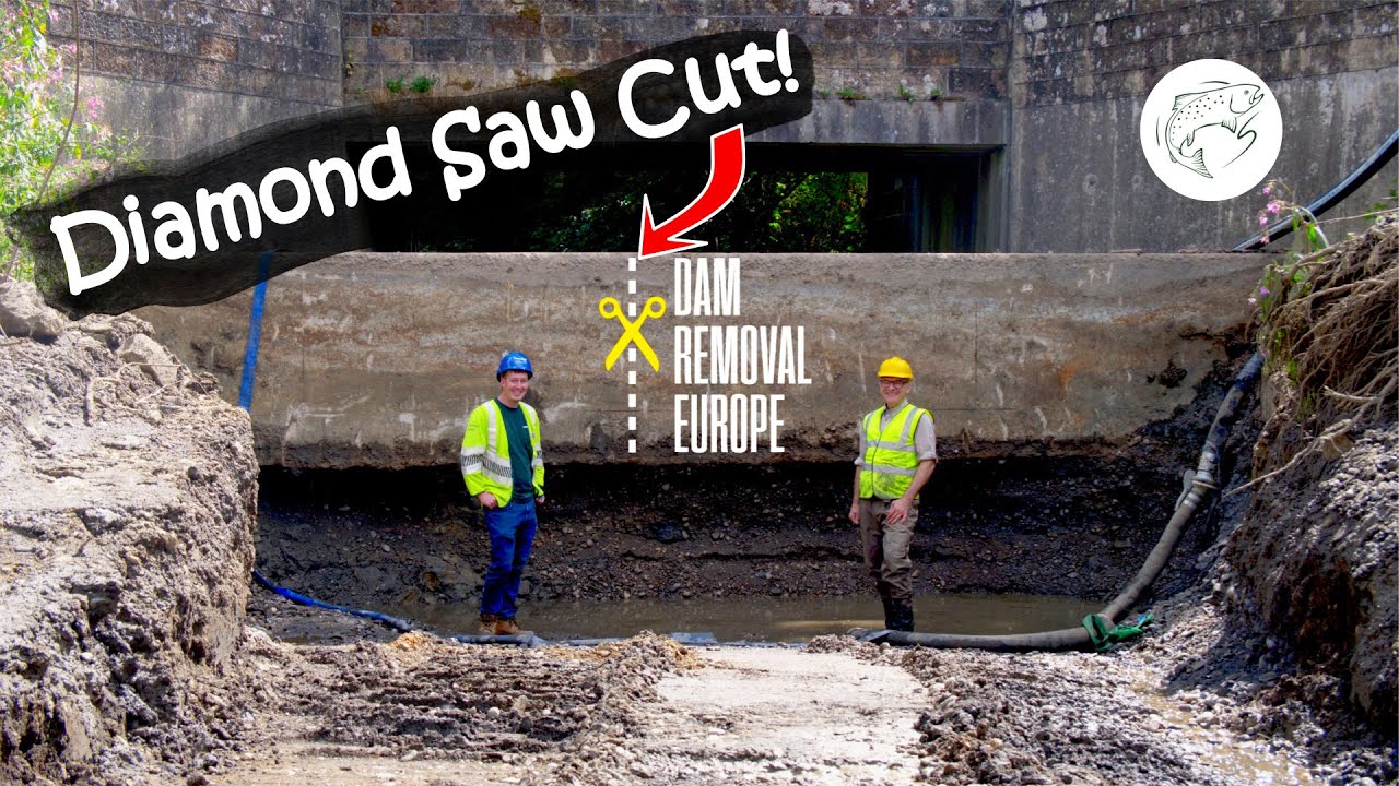 Weir Removal on River Ecclesbourne Part 1: Joining the Dam Removal ...