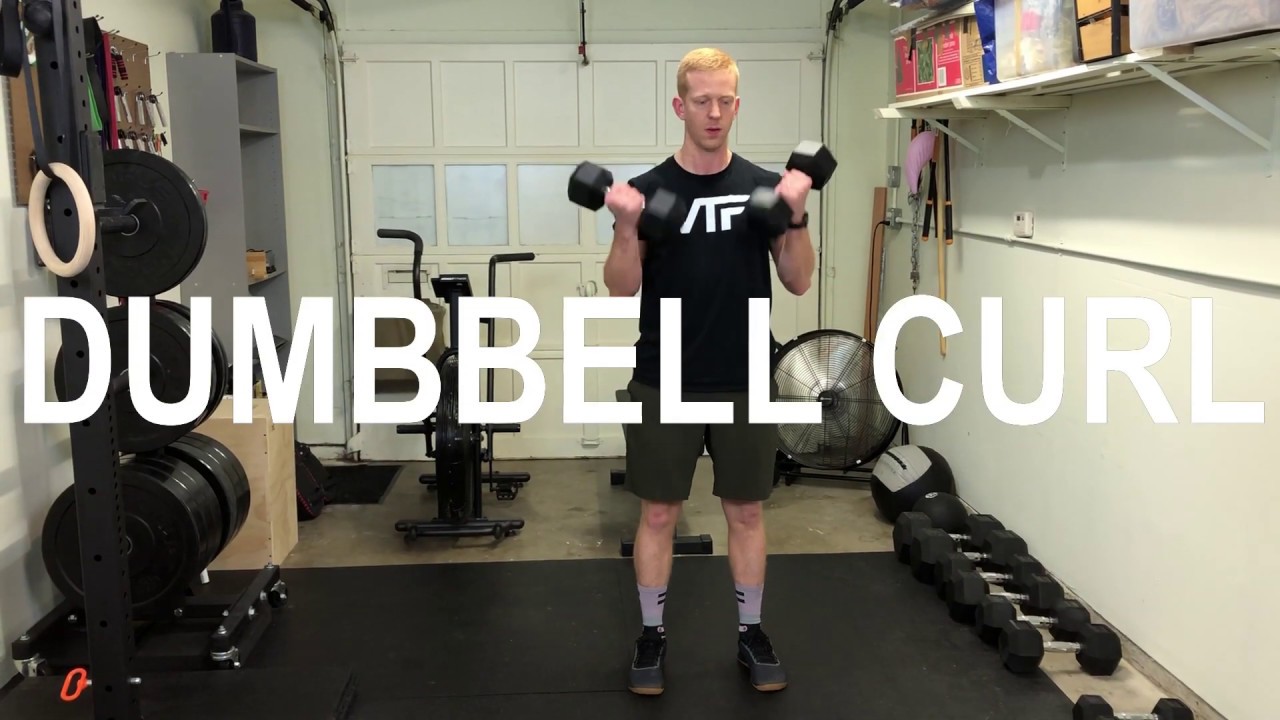 The Dumbbell Curl - Exercise Technique | Virtual Team Fitness - YouTube