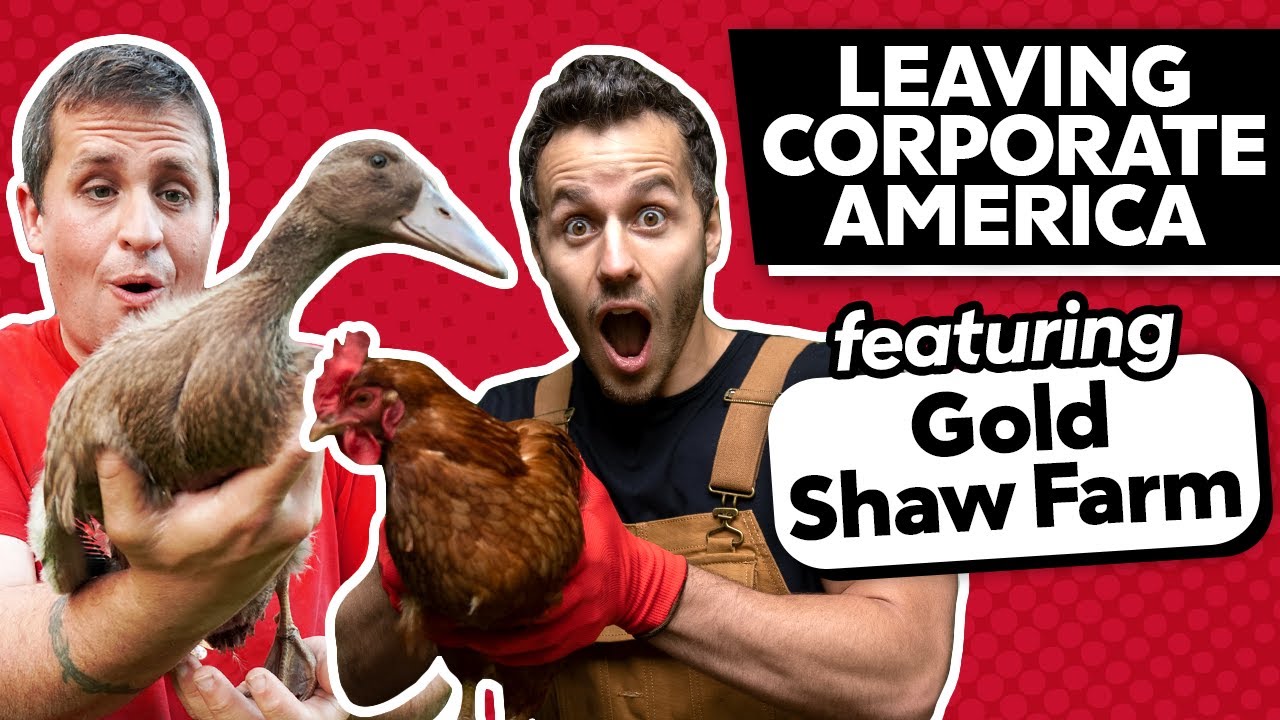 Leaving Corporate America To Sell Pigs ft. Gold Shaw Farm | Big Change ...