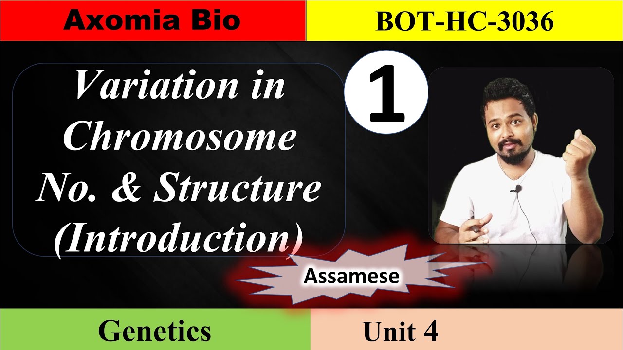 Variation in chromosome No. & Structure| Intro| Genetics| 3rd sem GU ...
