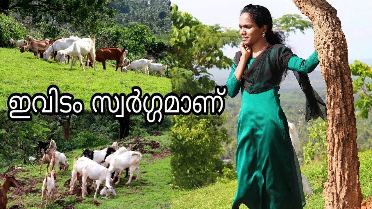 കേച്ചേരിയിലെ സ്വർഗം 😍 | Peruvanmala Hills | Perumala Shiva Temple | # ...