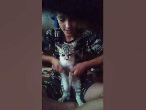 шни шна шнапи - YouTube