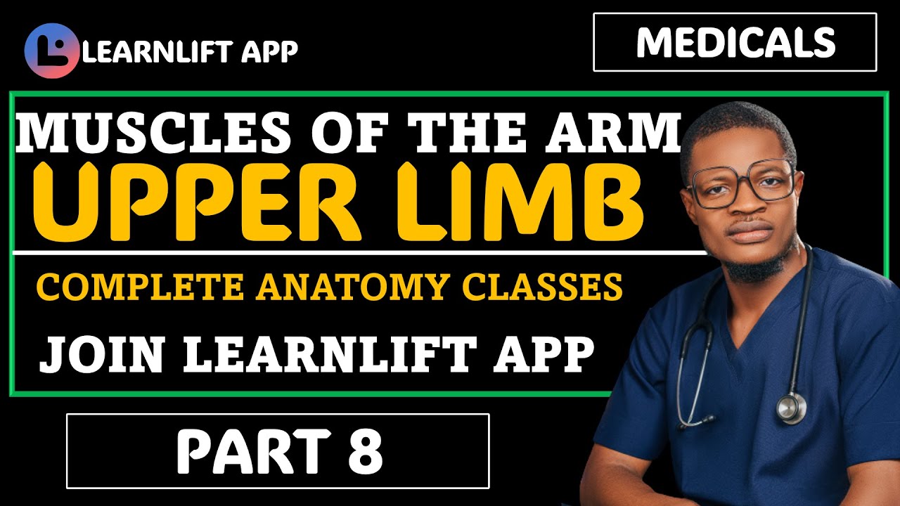MUSCLES OF THE ARM - UPPER LIMB ANATOMY (PART 8) - YouTube