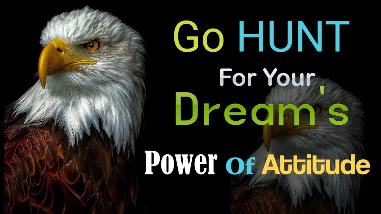 The Eagle Mentality | Power of Attitude | Eagle Attitude | Jzferiat ...