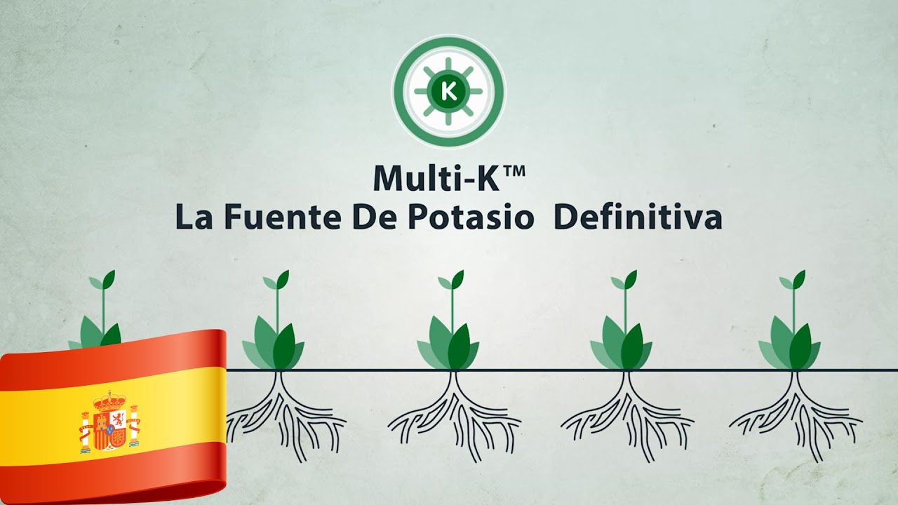 7 Beneficios De Los Alimentos Ricos En Potasio Para La Salud Reverasite ...