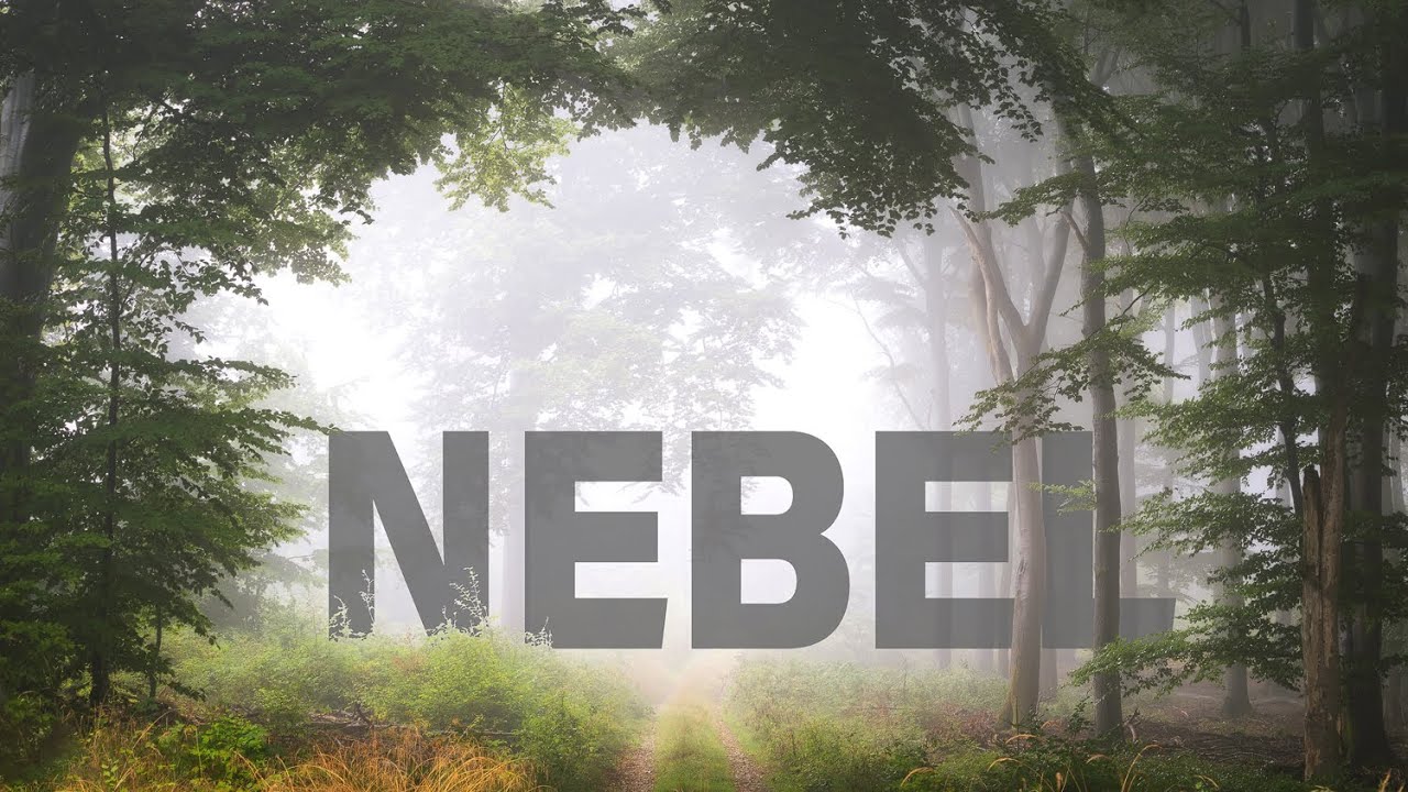 Endlich wieder Nebel fotografieren + Bildbearbeitung ...