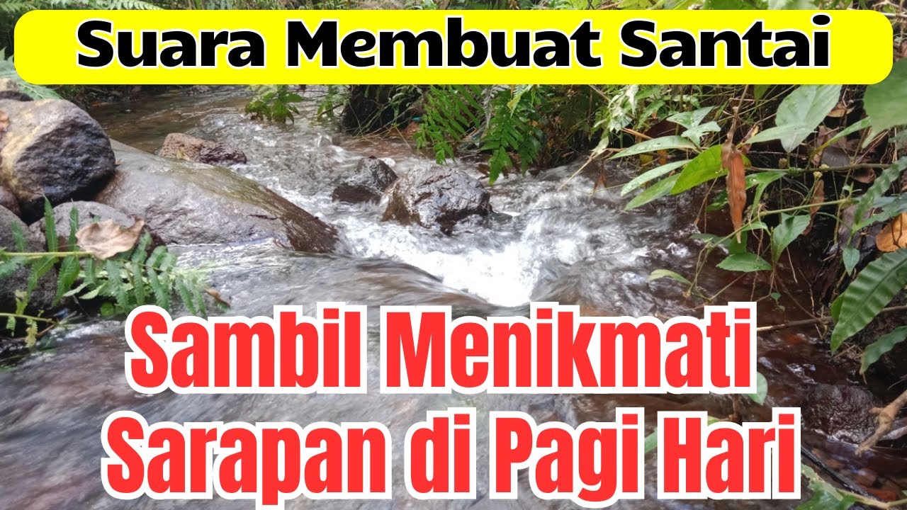 Suara Alam Membuat Pikiran Menjadi Tenang dan Santai - YouTube
