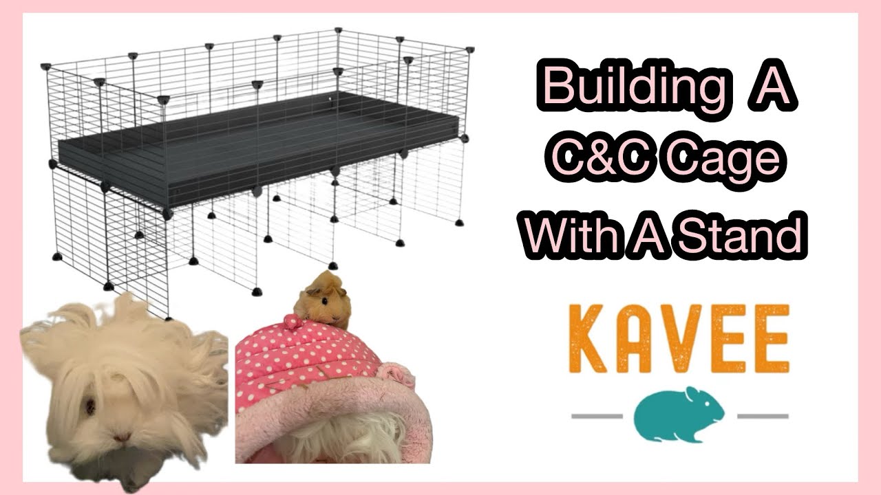 Cage Upgrade For The Girls | Kavee 2x4 C&C - YouTube